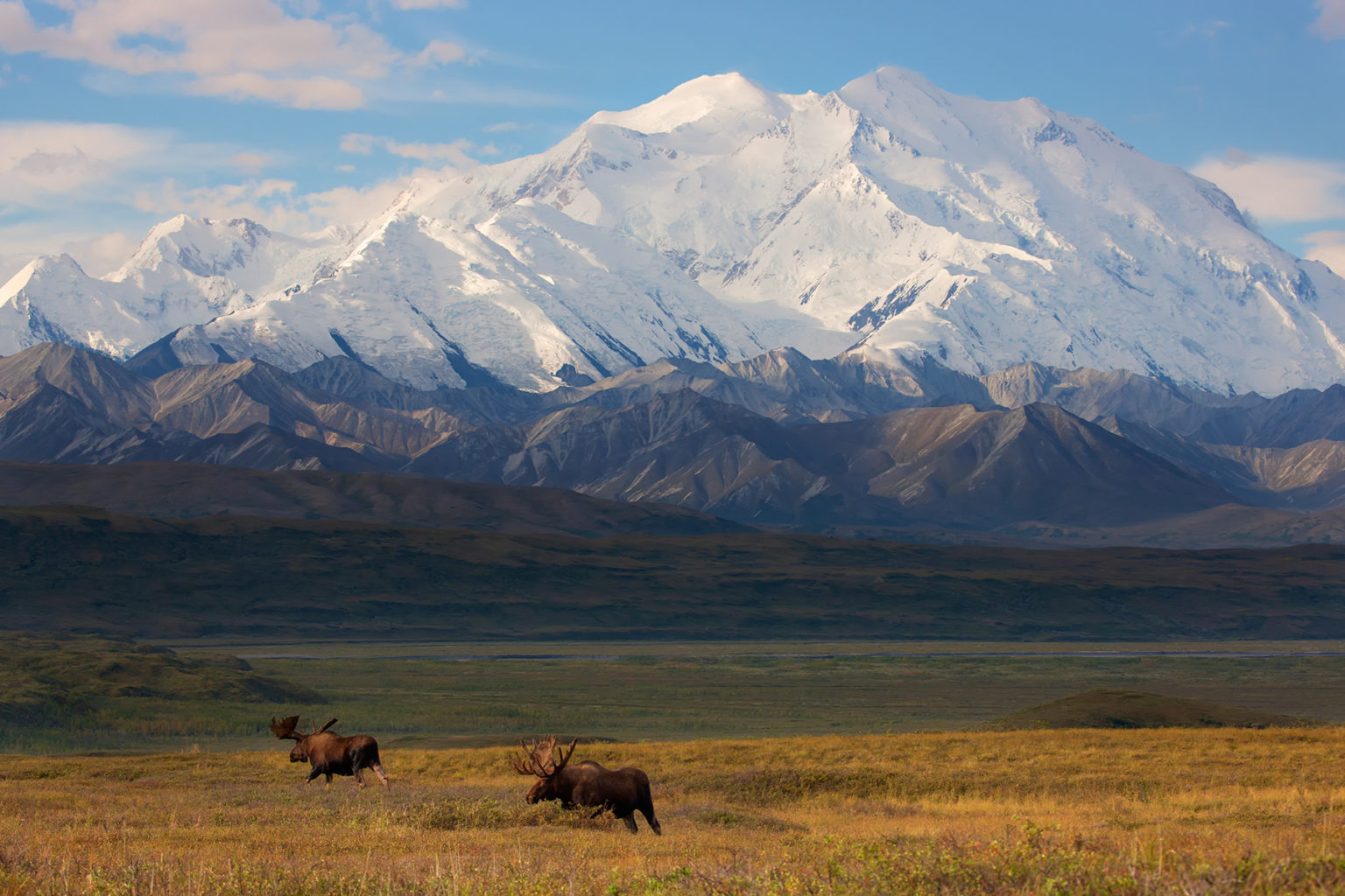 Denali Train Tour - Alaska In Luxury & Style | Entrée Destinations