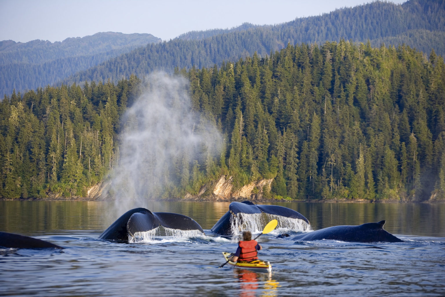 The Exclusive Alaska Inside Passage Tour | Entrée Destinations