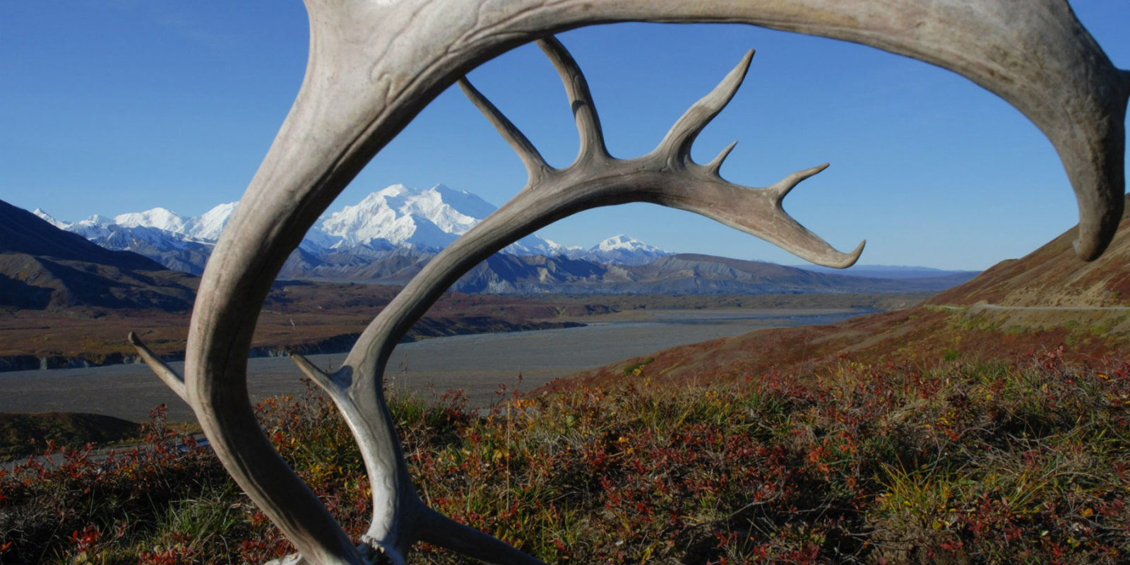 Adventure holidays to Alaska: authentic & unforgettable | Entree ...